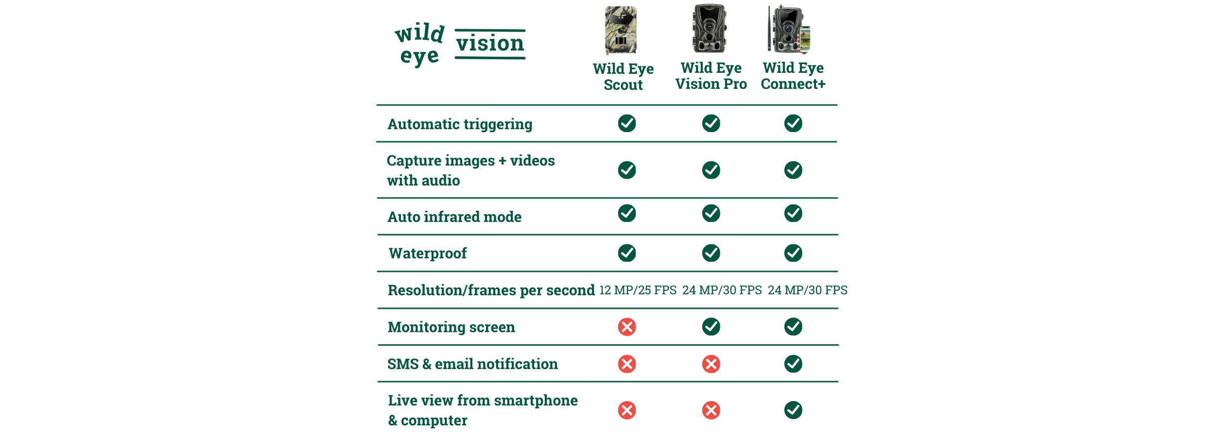Capture Any Mouvements Remotely With Our Wildlife and Trail Cameras